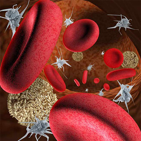 Blut – Aufgaben, Zusammensetzung und Blutbildwerte | Doppelherz